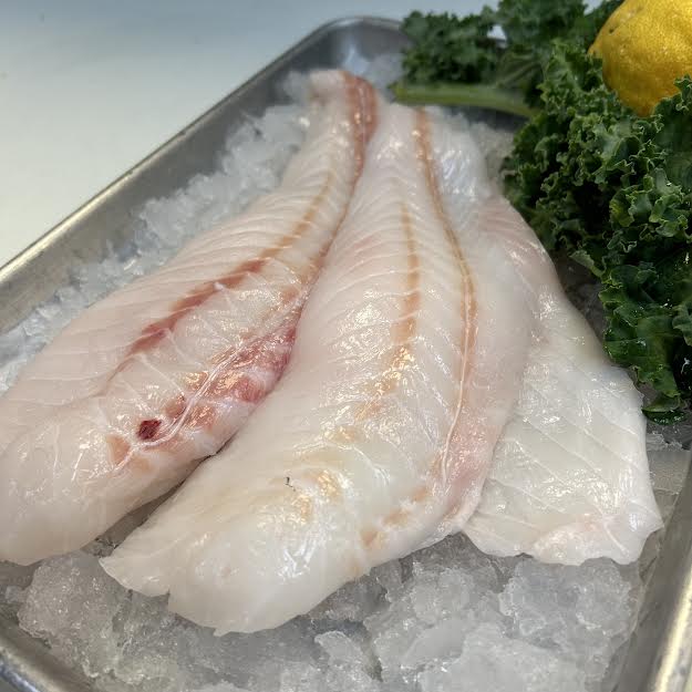 Orange Roughy – Medford Seafood Market