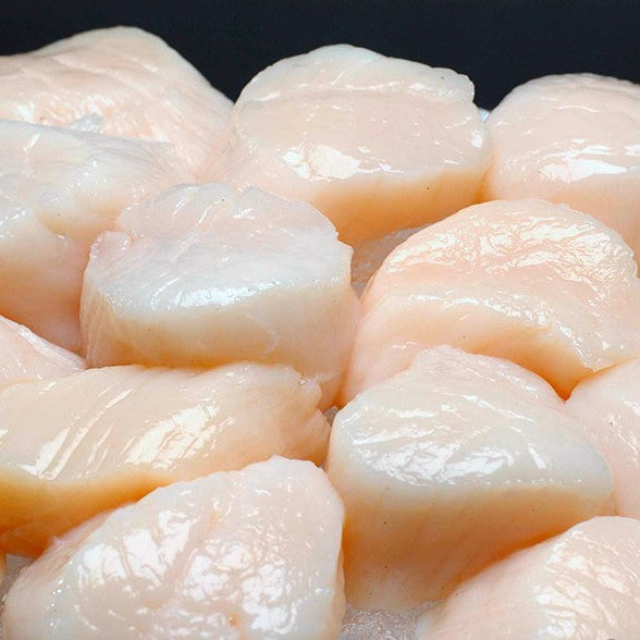 Sea Scallops – Medford Seafood Market