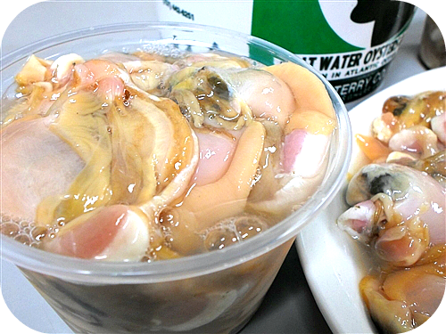 Topneck Clams - Shucked (in container) – Medford Seafood Market