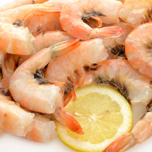 Raw Shrimp (Large) In the Shell – Medford Seafood Market