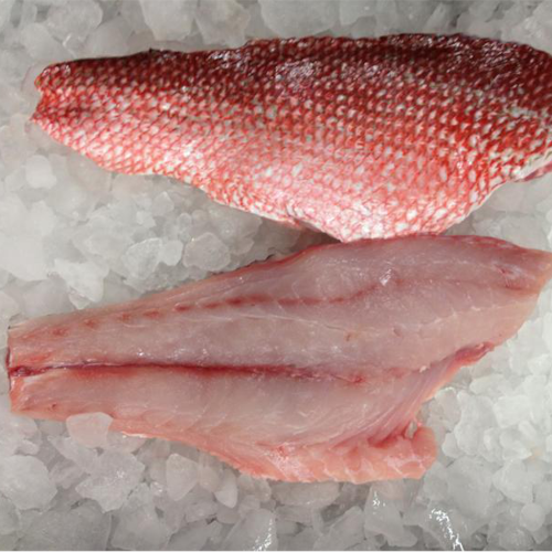 Red Snapper - Skin On – Medford Seafood Market